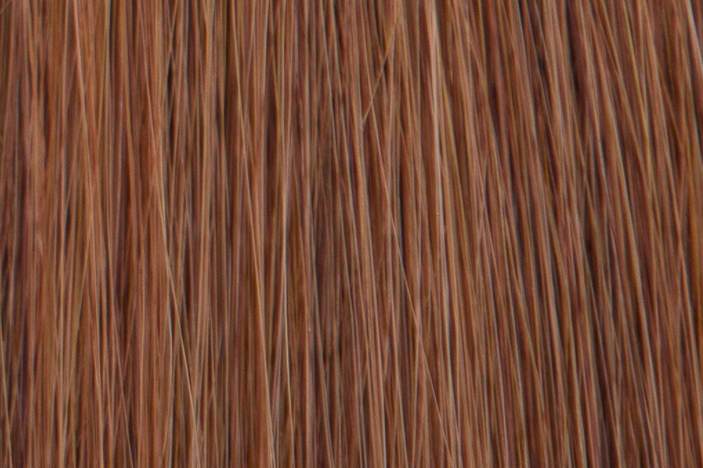 Chestnut – BFB Hair